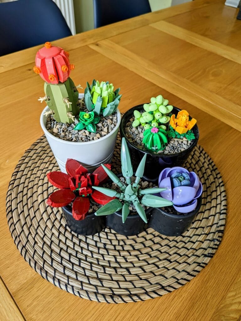 Potting up my Lego Succulents - The Wallflower Digest